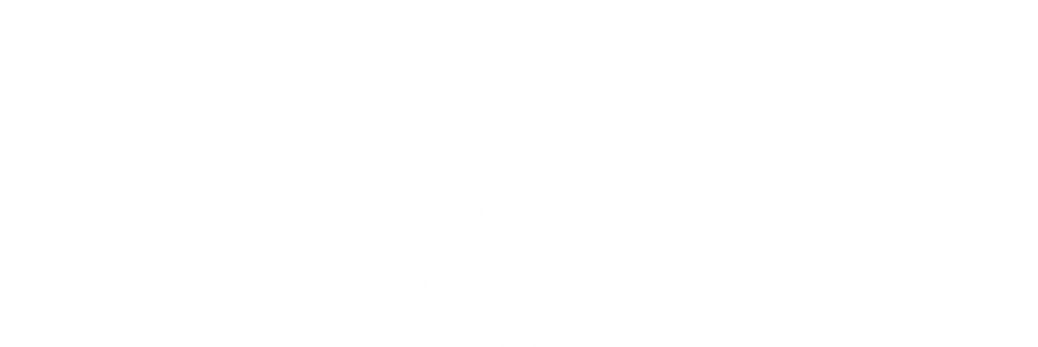 About Us – Swinton Lions RLFC